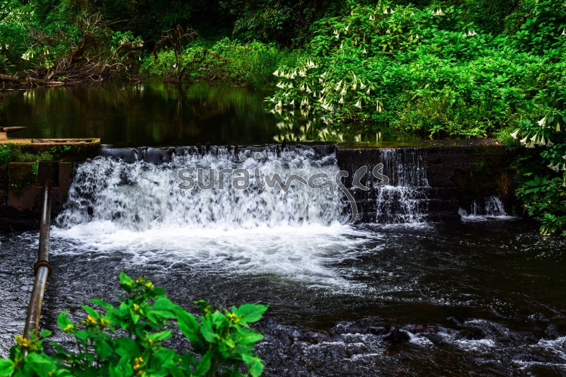 Sura Images - Beautiful Clean River